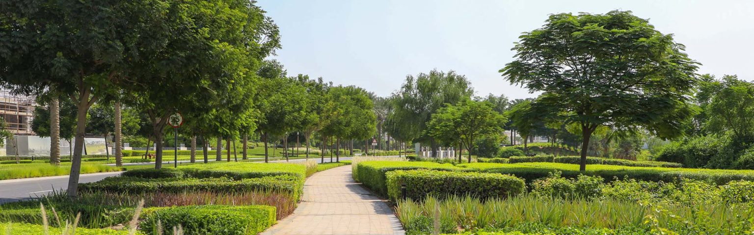 Desert Landscape - Best Landscape Company and No.1 in UAE - Desert ...