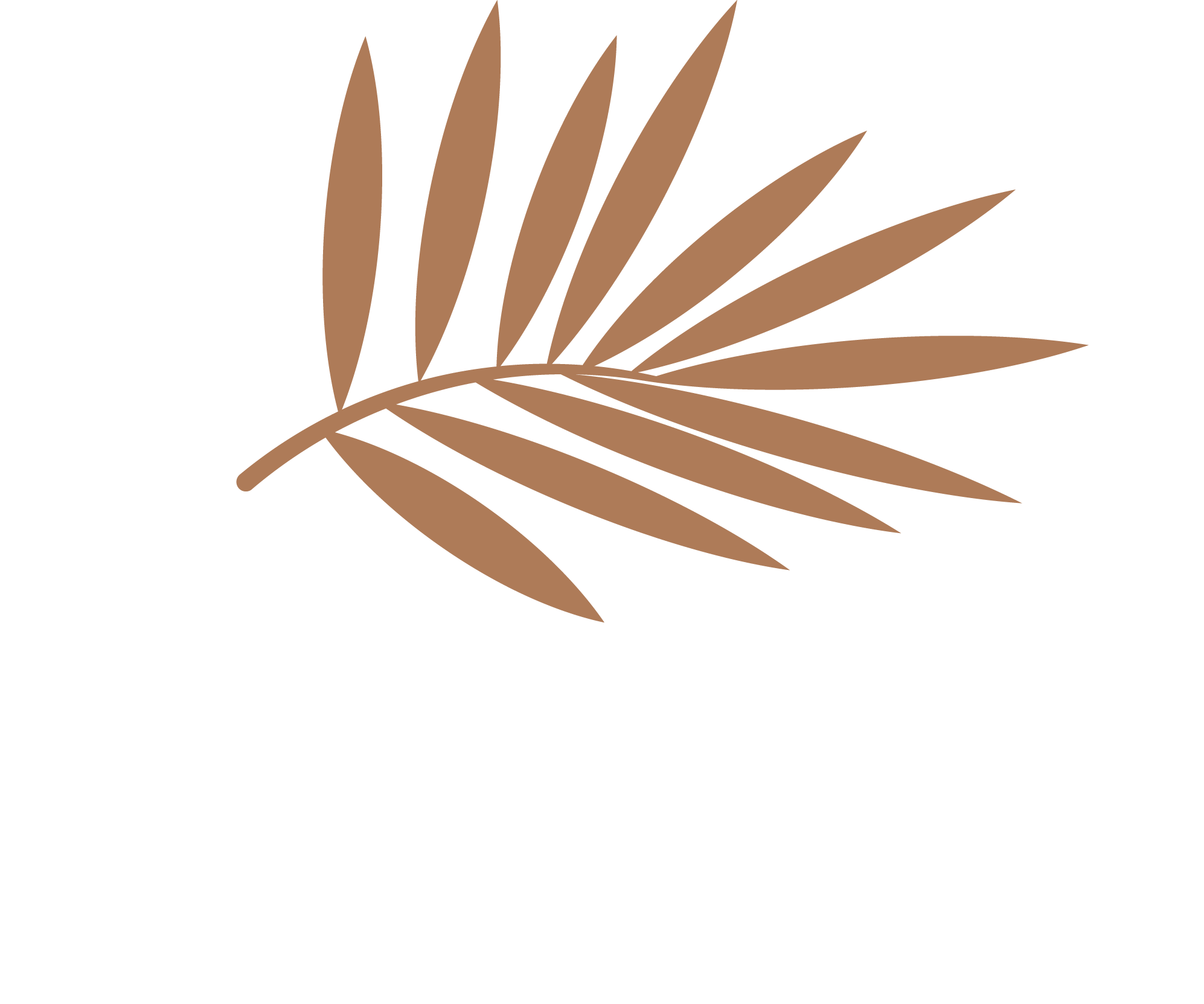 Wahat Al Sahraa - Desert Group | Best Landscaping Company in UAE Wahat Al Sahraa - Desert Group | Best Landscaping Company in UAE