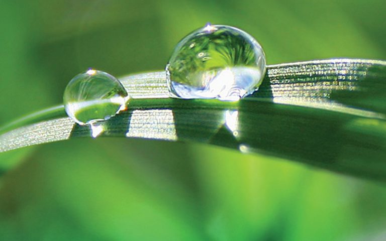 Desert Group | Best and Quality Landscaping Company in UAE | Best ...