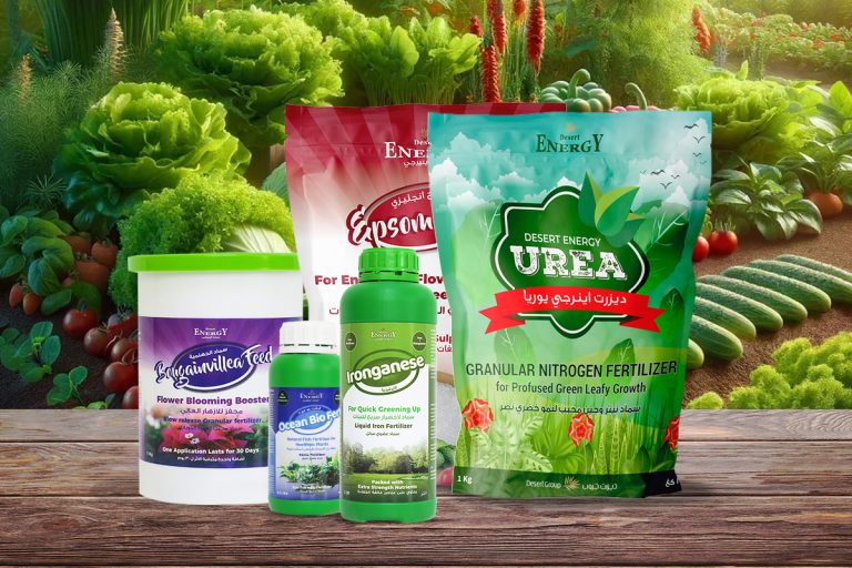 Desert Group | Best and Quality Landscaping Company in UAE | Best ...