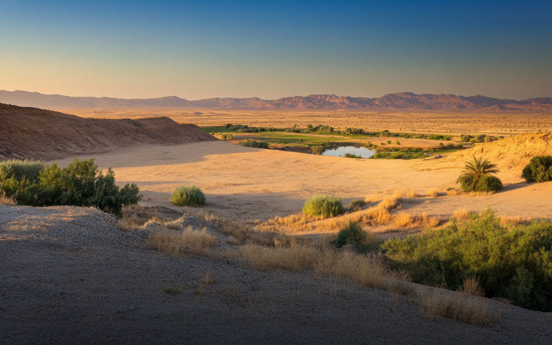 Ecological Infrastructure Development - Desert Group | Best Landscaping ...