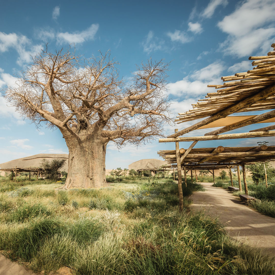 Ecological Infrastructure Development - Desert Group | Best Landscaping ...